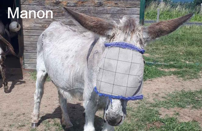Manon - ADADA - Animal Webaction