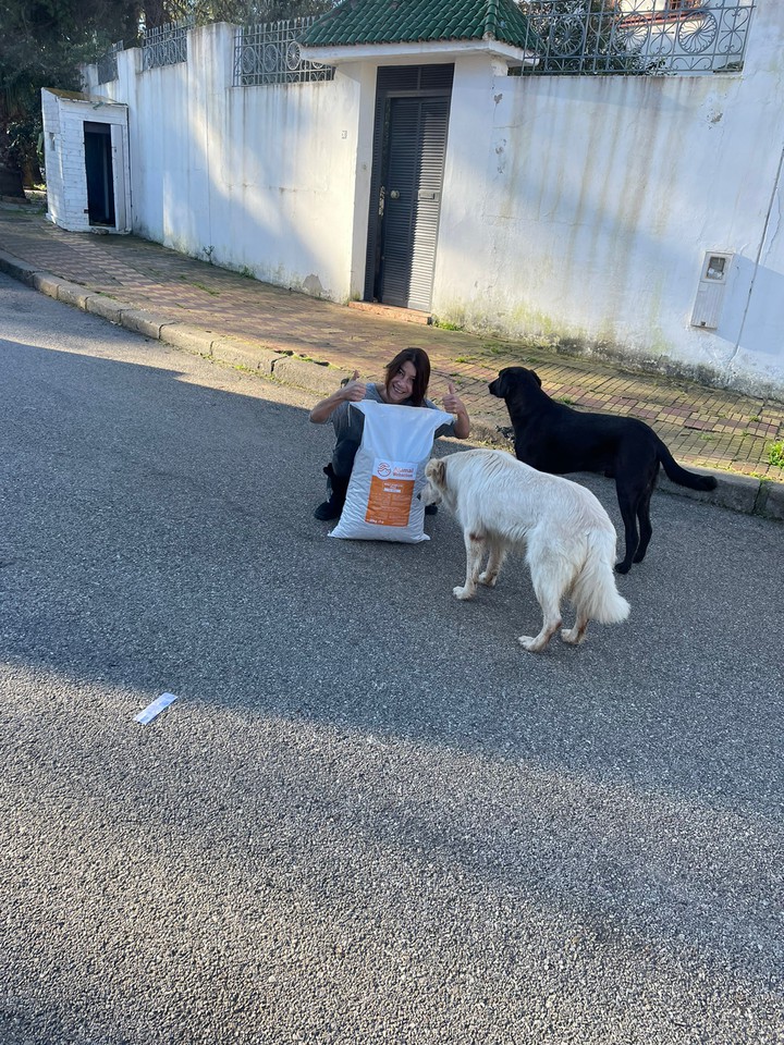 Livraison de croquettes à Sanctuaire de la Faune de Tanger (SFT ...