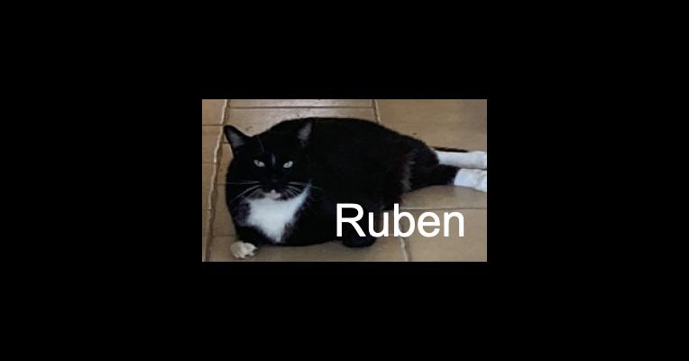 Ruben - Cosette - Animal Webaction