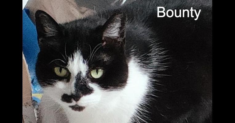 Bounty - L'Arche de Namasté - Animal Webaction