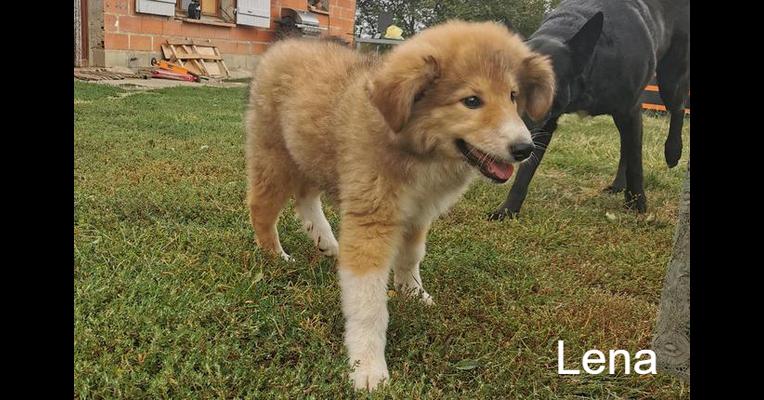 Lena - L'Esperanza - Animal Webaction