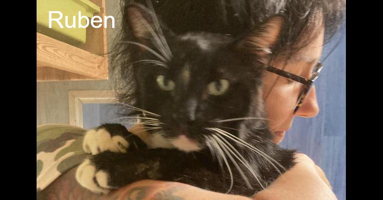 Ruben - Cosette - Animal Webaction