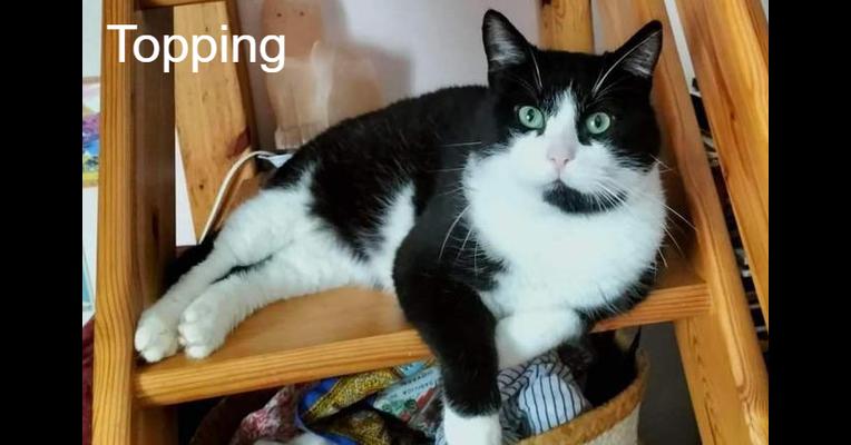 Topping - Truffes sans Toit - Animal Webaction