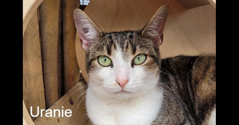 Uranie - Rescapés de l'Enfer - Animal Webaction