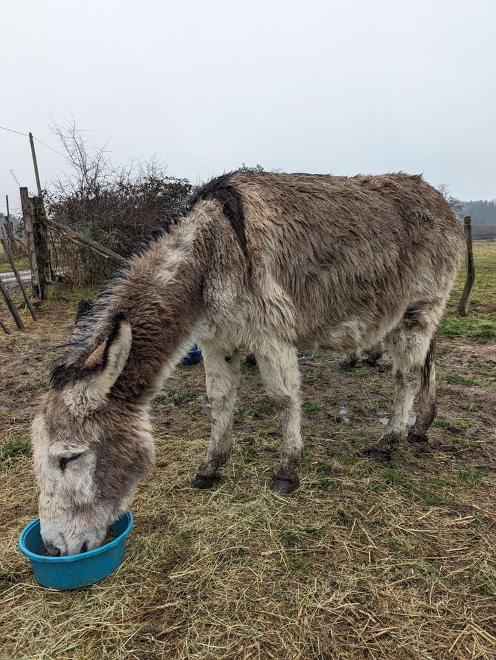 Livraison de granulés à ADADA | Animal Webaction